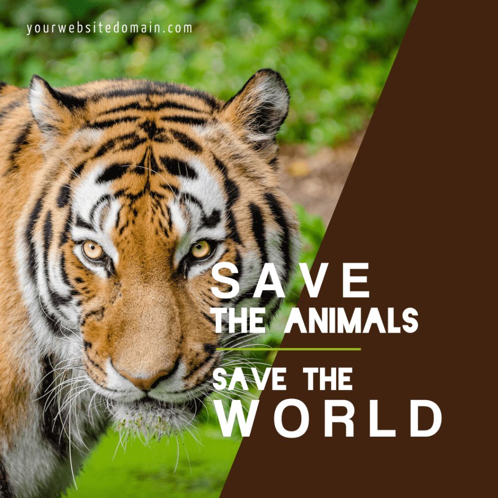 Instagram Graphics | OLM.net Its Never Been Easier